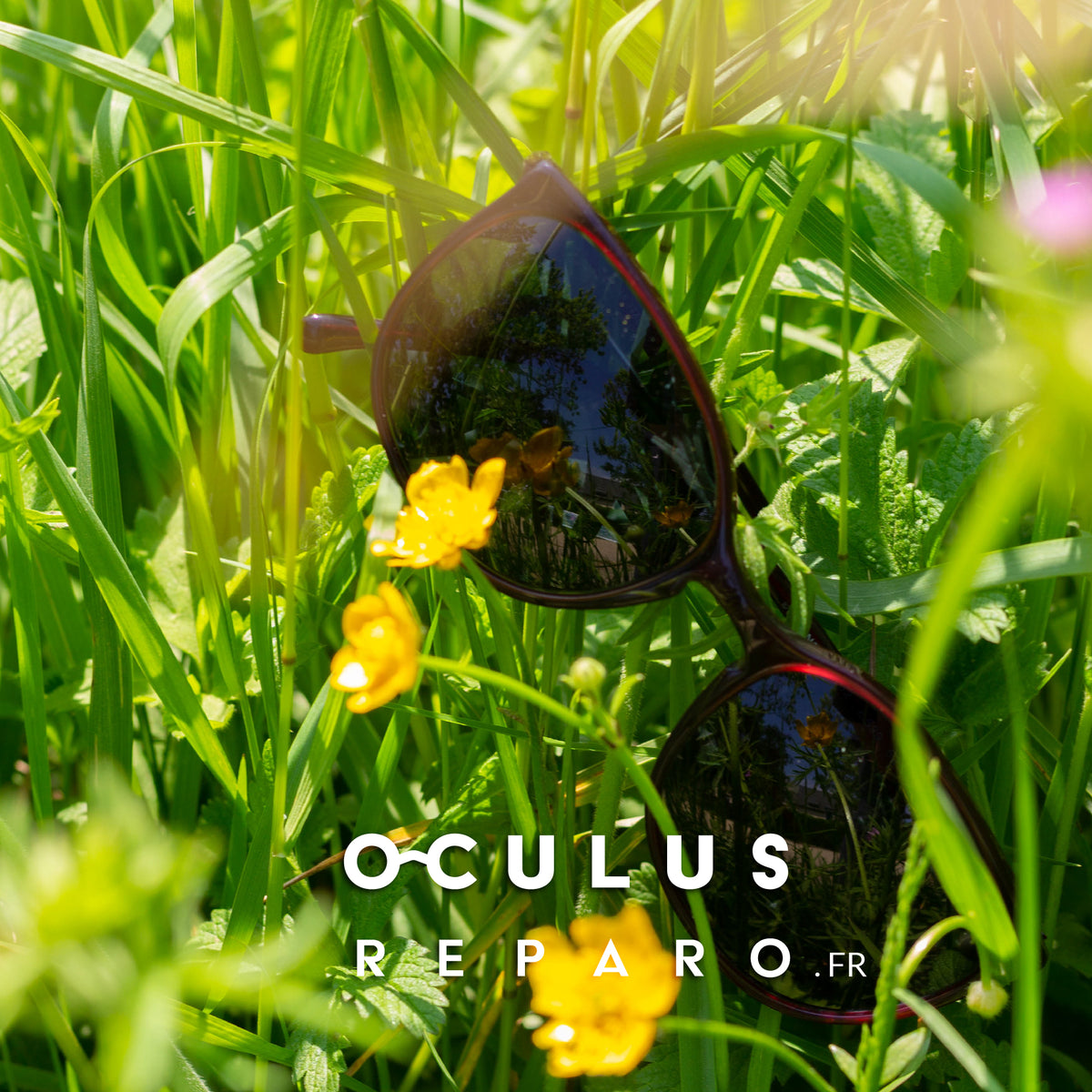 Protégeons la nature en réduisant notre impact environnemental – Oculus ...