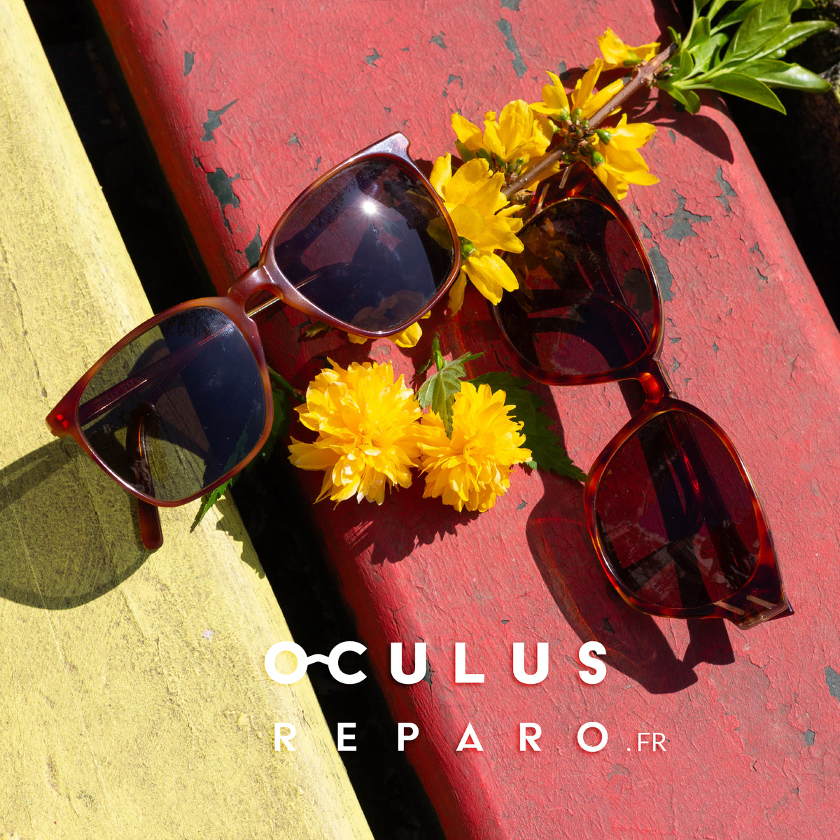 Célébrons le Jour de la Terre avec des lunettes reconditionnées ...