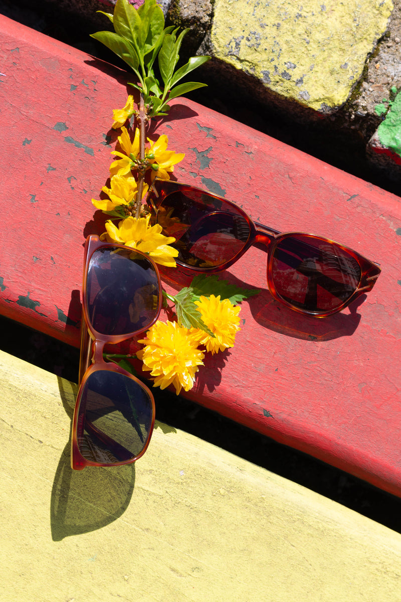 Toutes nos lunettes reconditionnées – Oculus-Reparo.fr